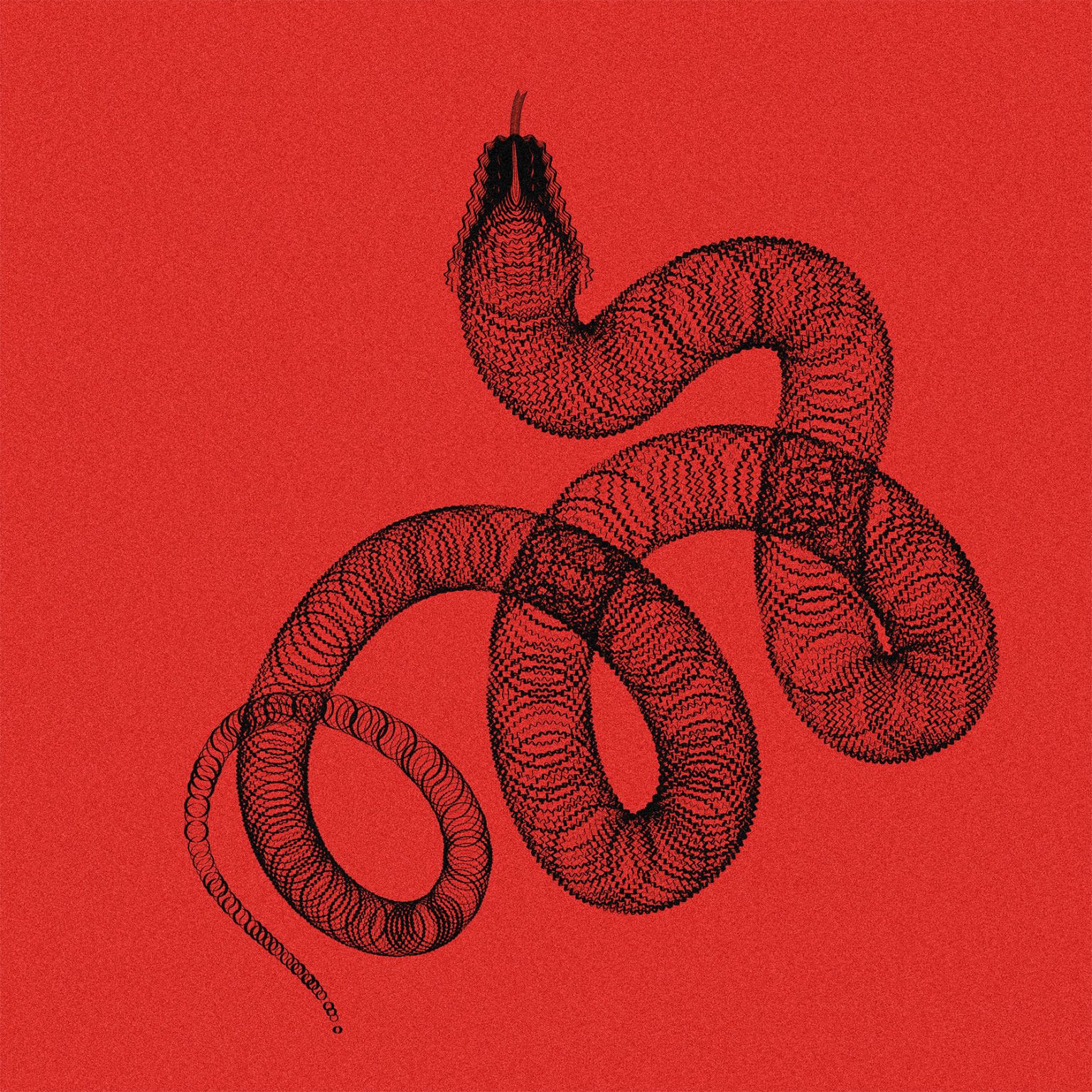 Fluid Lines: Illustrations by Andrea Minini | Daily design inspiration ...