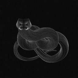 Fluid Lines: Illustrations by Andrea Minini | Daily design inspiration ...