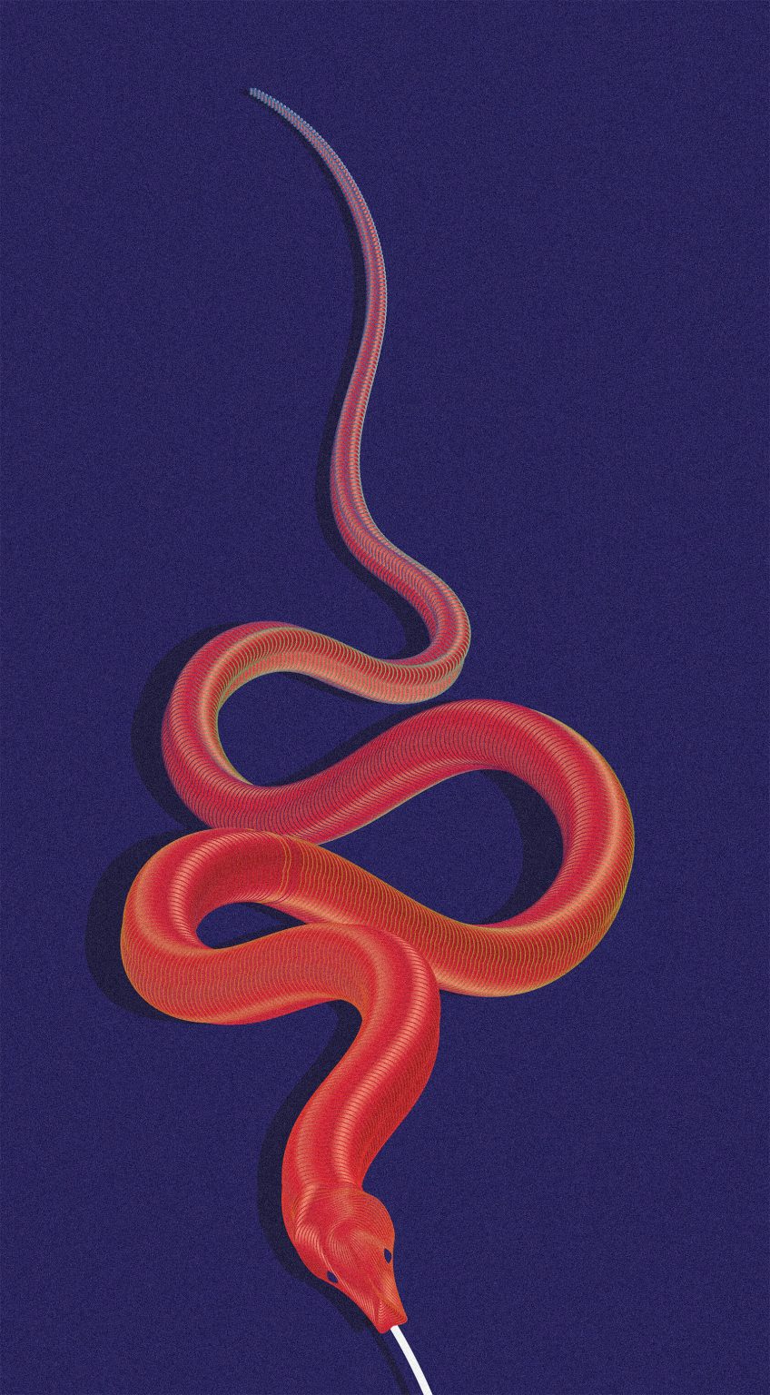 Fluid Lines: Illustrations by Andrea Minini | Daily design inspiration ...