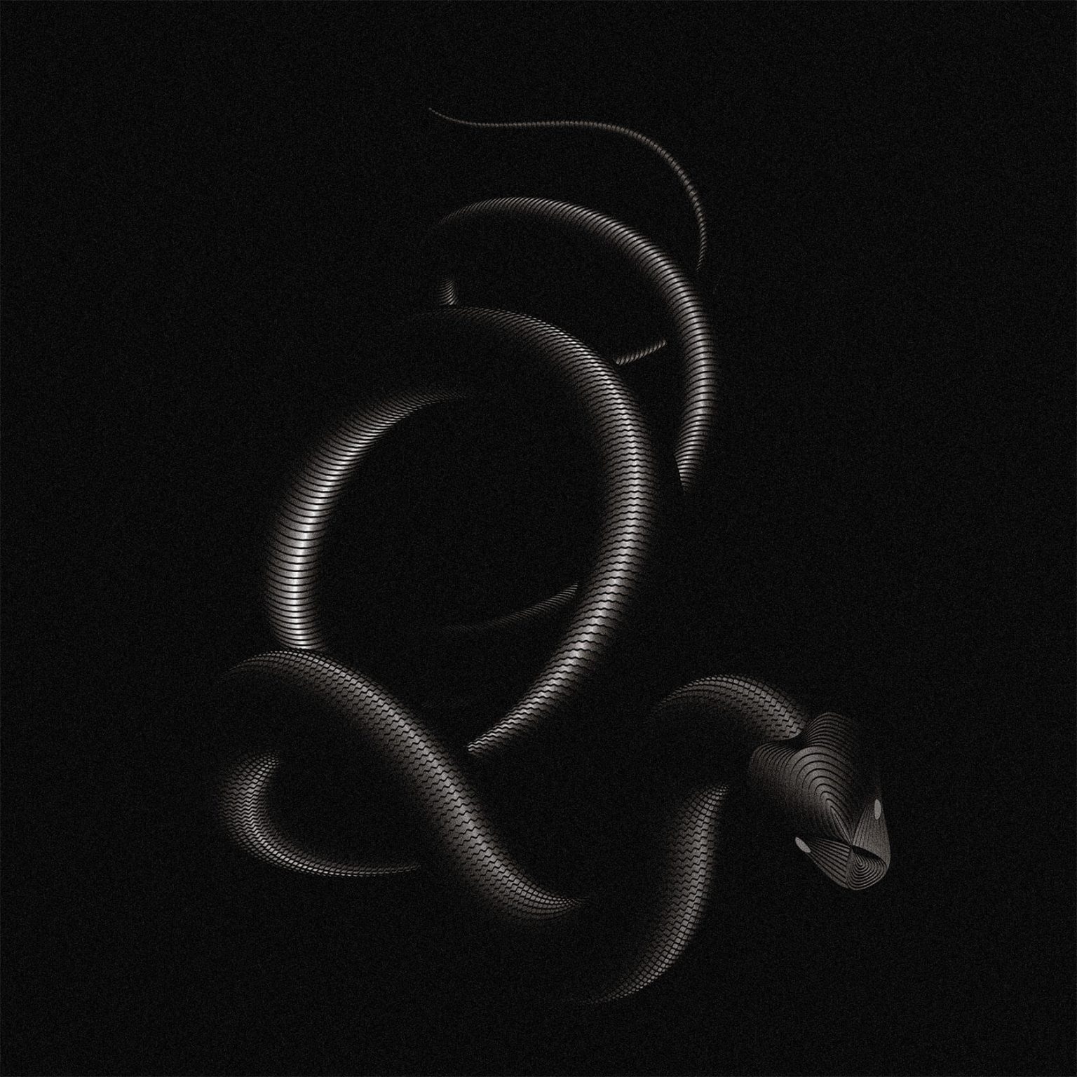 Fluid Lines: Illustrations by Andrea Minini | Daily design inspiration ...