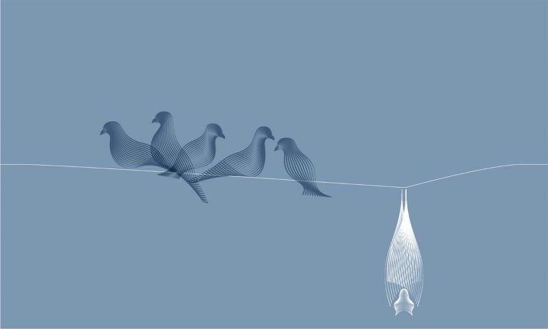 Fluid Lines: Illustrations by Andrea Minini | Daily design inspiration ...