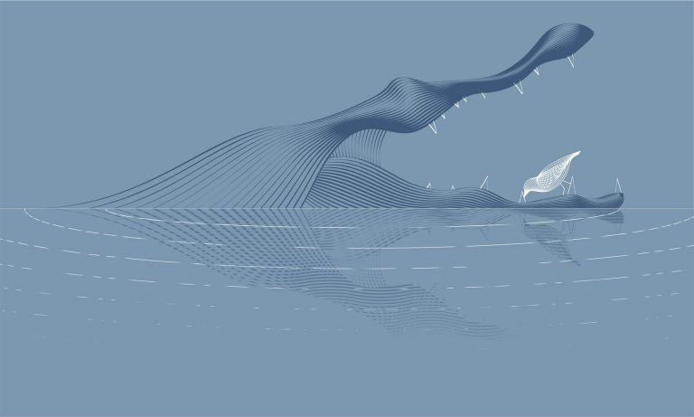 Fluid Lines: Illustrations by Andrea Minini | Daily design inspiration for creatives ...