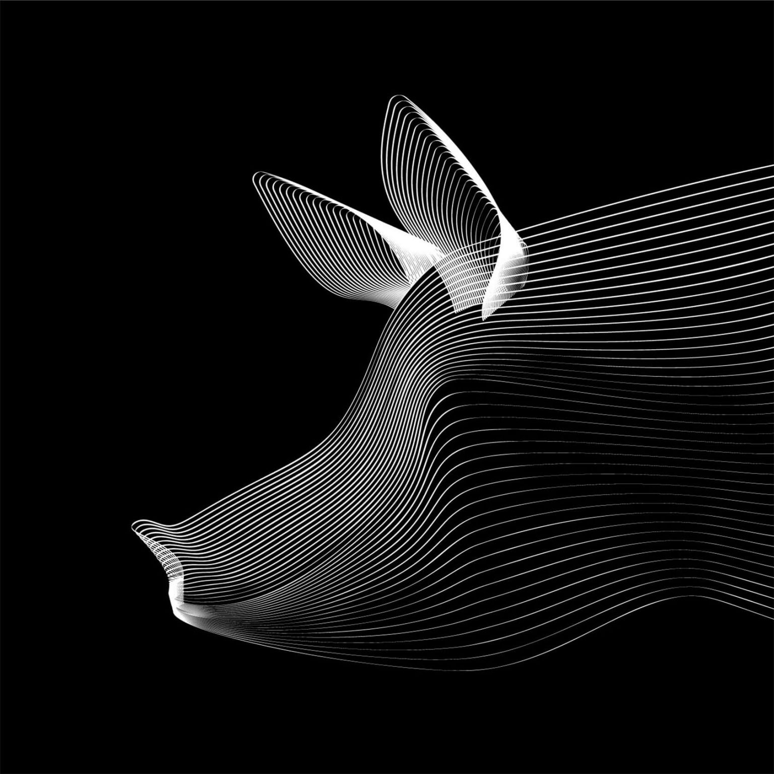 Fluid Lines: Illustrations by Andrea Minini | Daily design inspiration ...