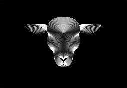 Fluid Lines: Illustrations by Andrea Minini | Daily design inspiration ...