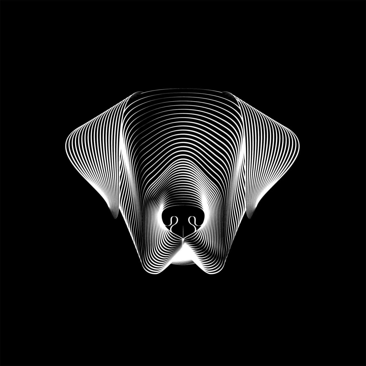Fluid Lines: Illustrations by Andrea Minini | Daily design inspiration ...