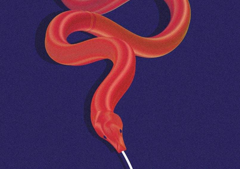 Illustration inspiration | Daily design inspiration for creatives ...