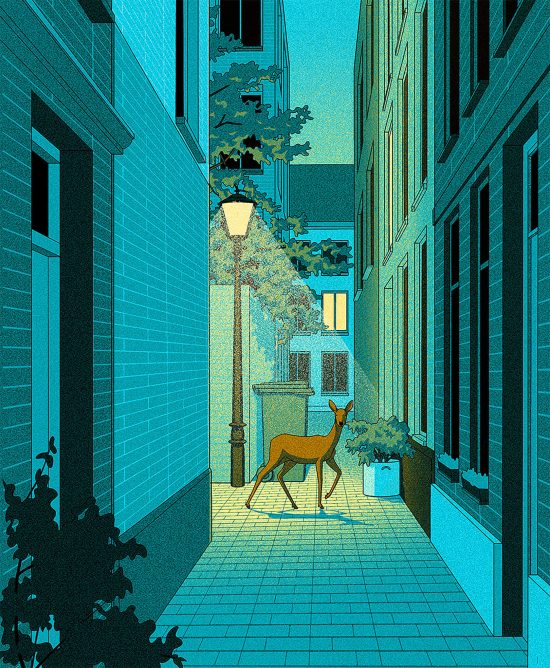 Visual Storytelling: Illustrations by Jenna Arts | Daily design ...