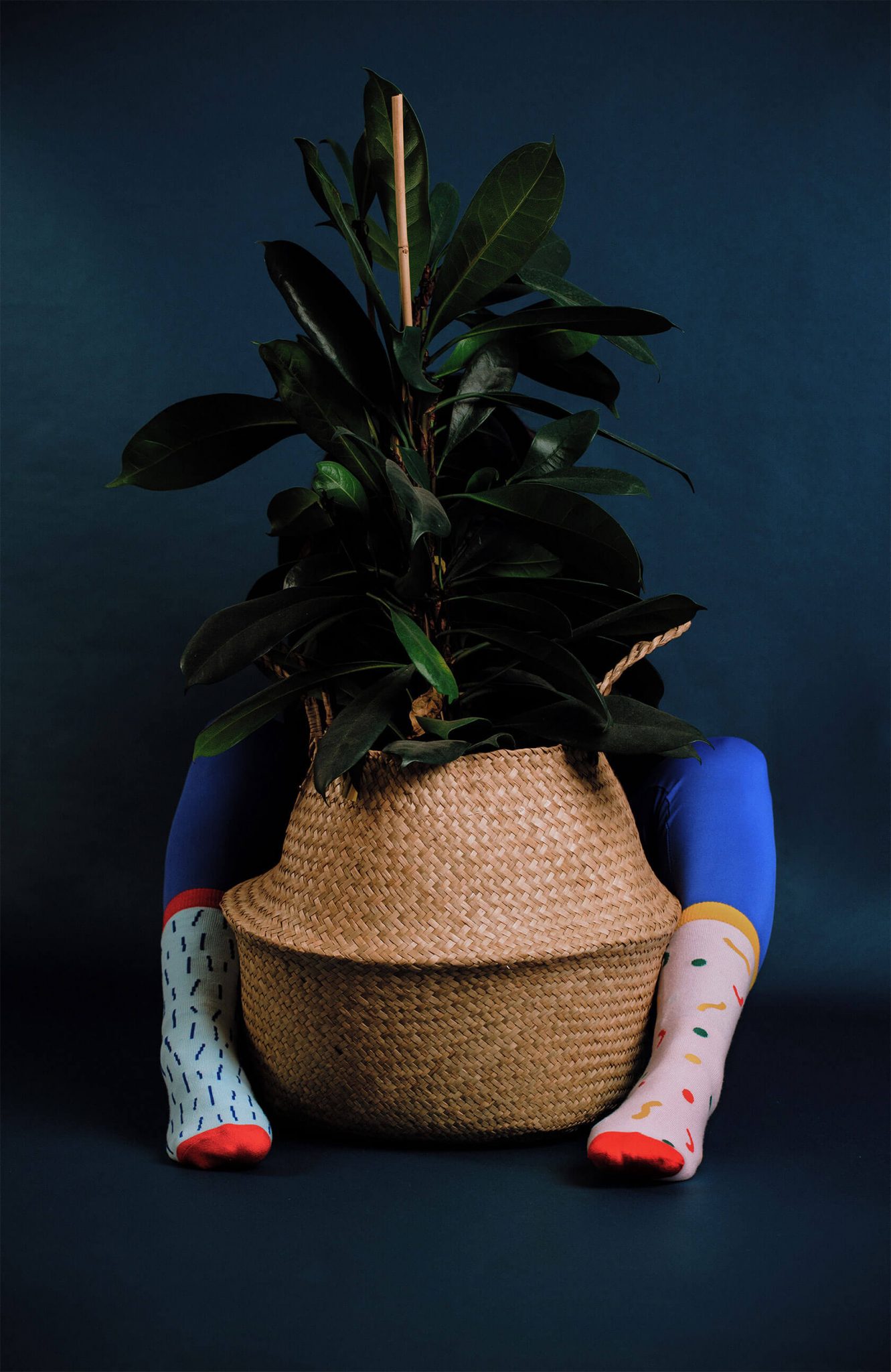 2020 Socked: Fun Packaging Design by Kreatives | Daily design ...