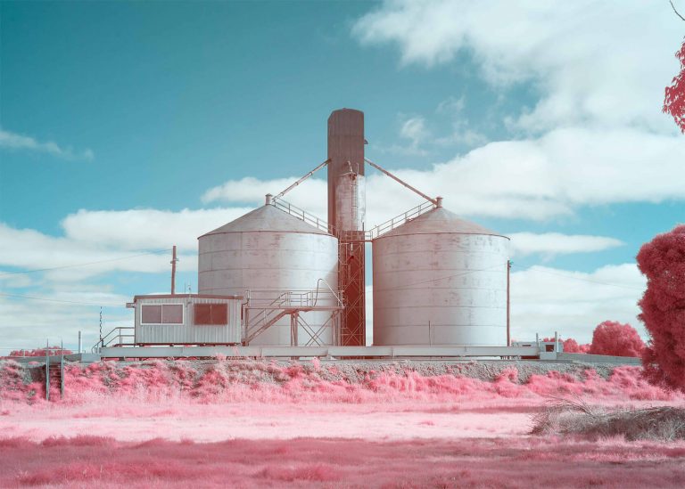 Koala Country: Infrared Photos by Sean Paris | Daily design inspiration ...
