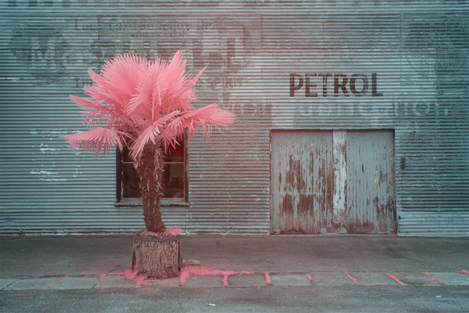 Koala Country: Infrared Photos by Sean Paris | Daily design inspiration ...