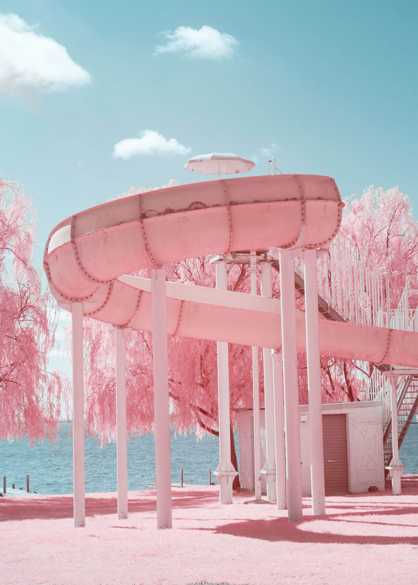 Koala Country: Infrared Photos by Sean Paris | Daily design inspiration ...