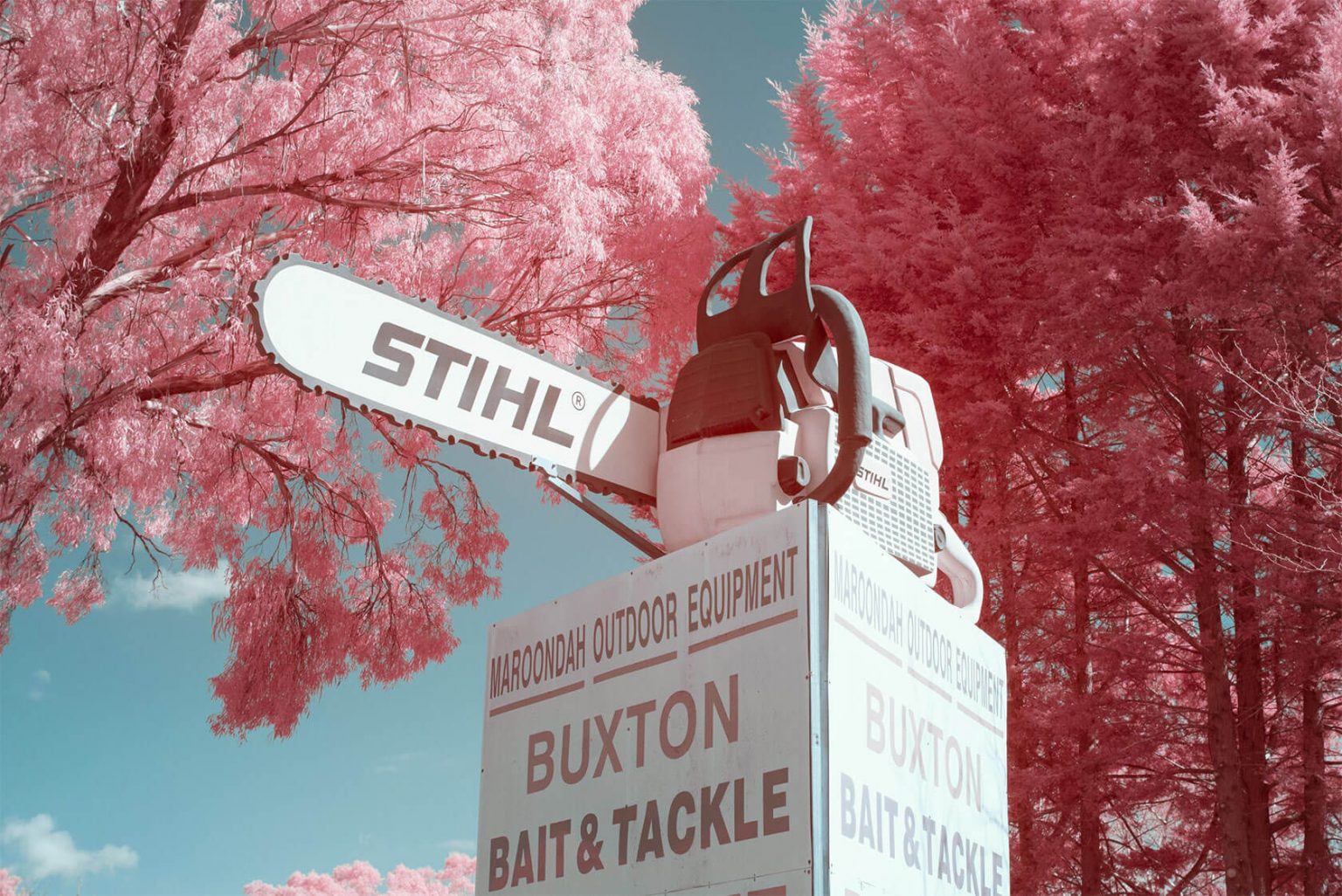 Koala Country: Infrared Photos by Sean Paris | Daily design inspiration ...