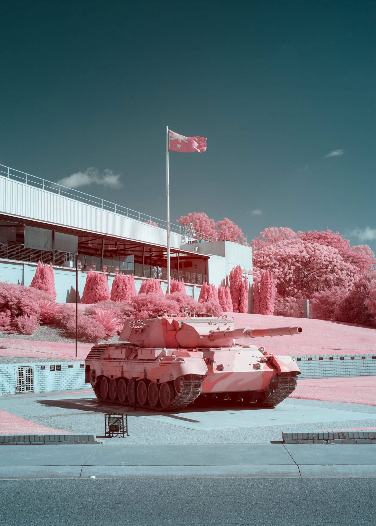 Koala Country: Infrared Photos by Sean Paris | Daily design inspiration ...