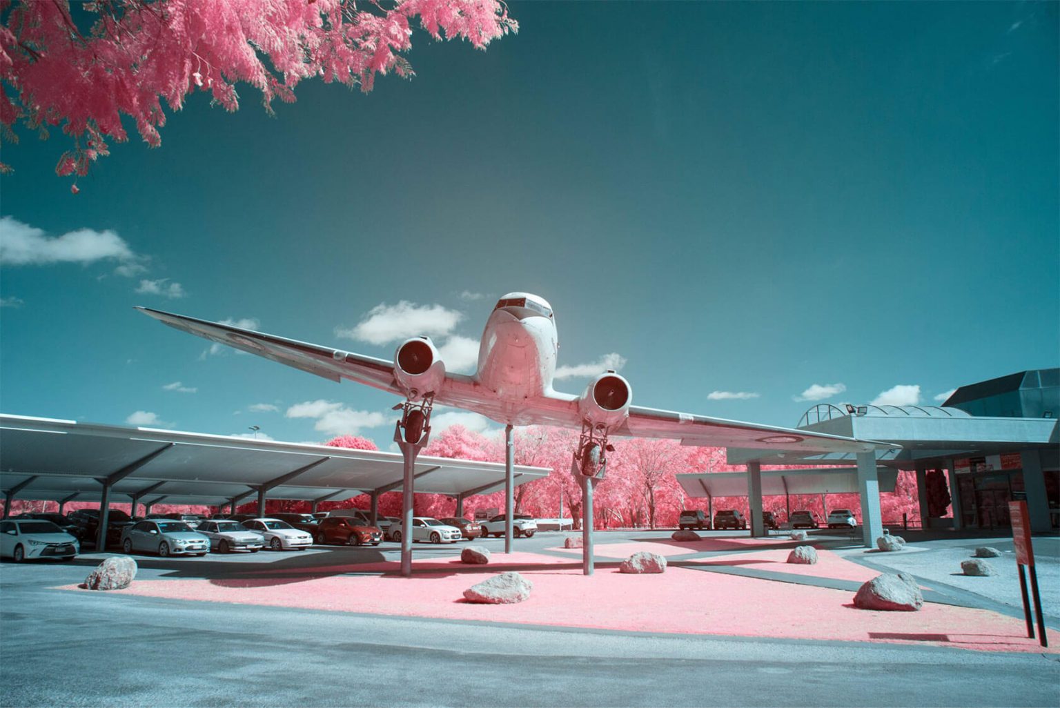 Koala Country: Infrared Photos by Sean Paris | Daily design inspiration ...