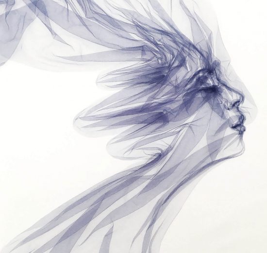 Mesmerizing Tulle Sculptures by Benjamin Shine | Daily design ...