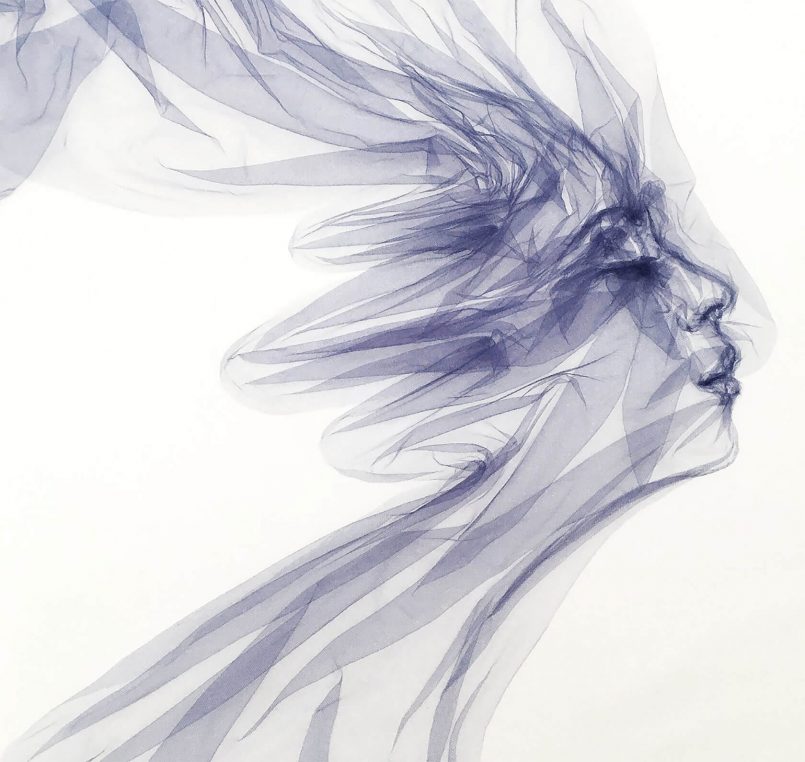 Mesmerizing Tulle Sculptures by Benjamin Shine | Daily design ...