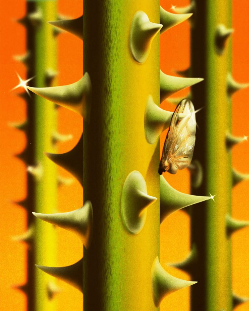 Dreamlike Illustrations by Nico H. Brausch | Daily design inspiration ...