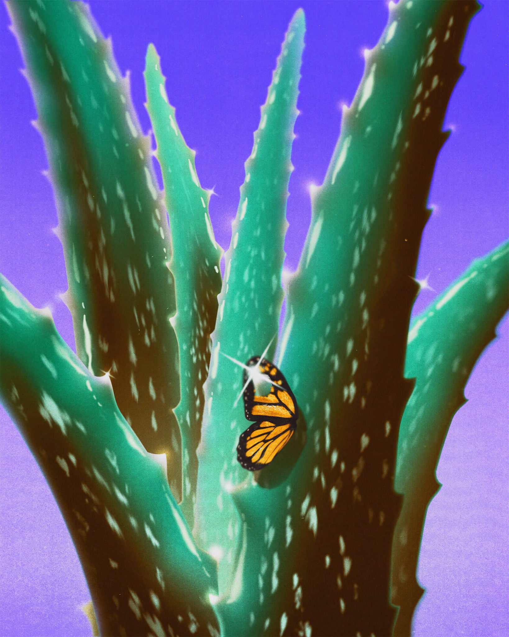 Dreamlike Illustrations by Nico H. Brausch | Daily design inspiration ...