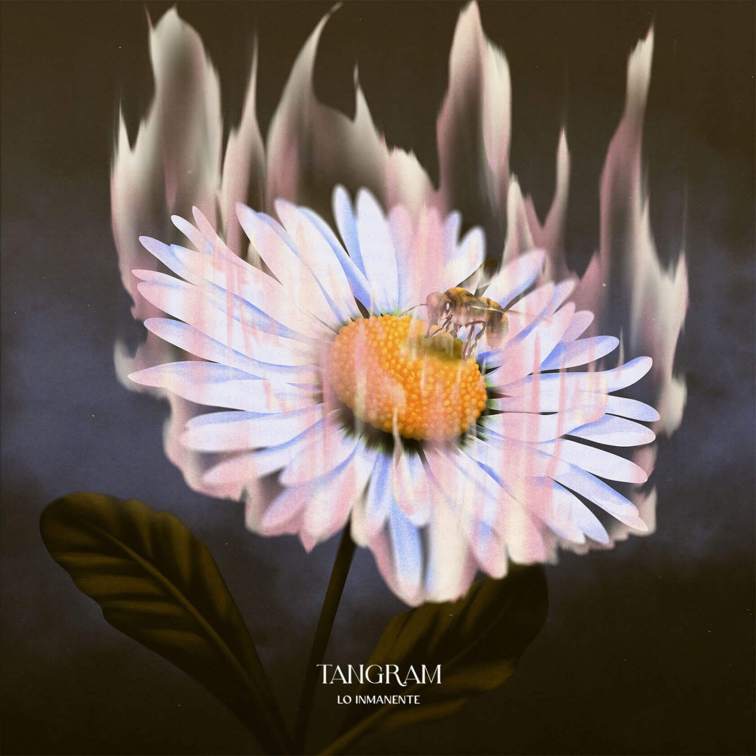 Dreamlike Illustrations by Nico H. Brausch | Daily design inspiration ...