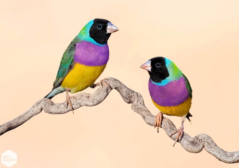 Photography inspiration | Daily design inspiration for creatives ...