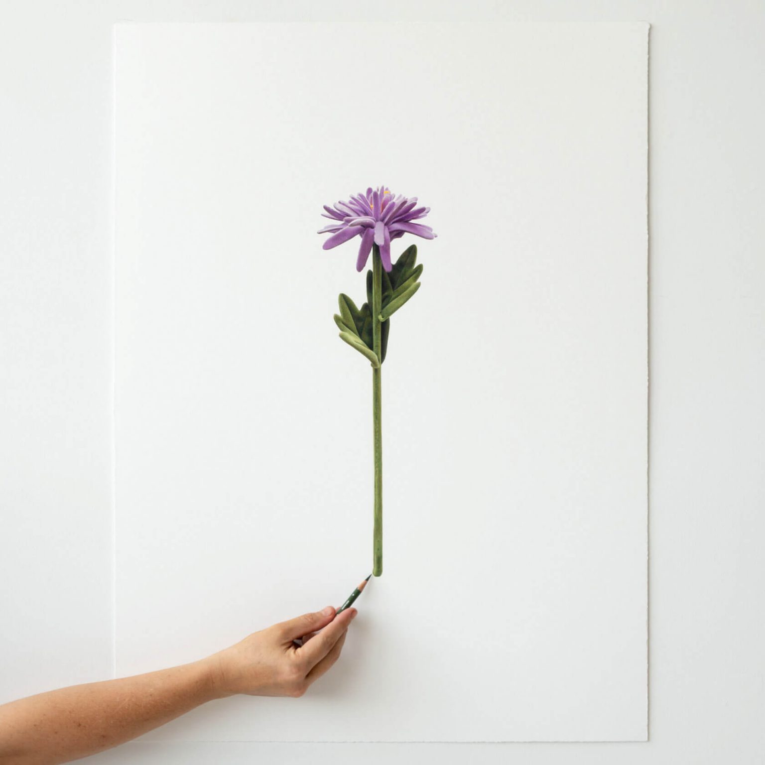 In Full Bloom: Cj Hendry's Immersive Flower Market Exhibition | Daily ...