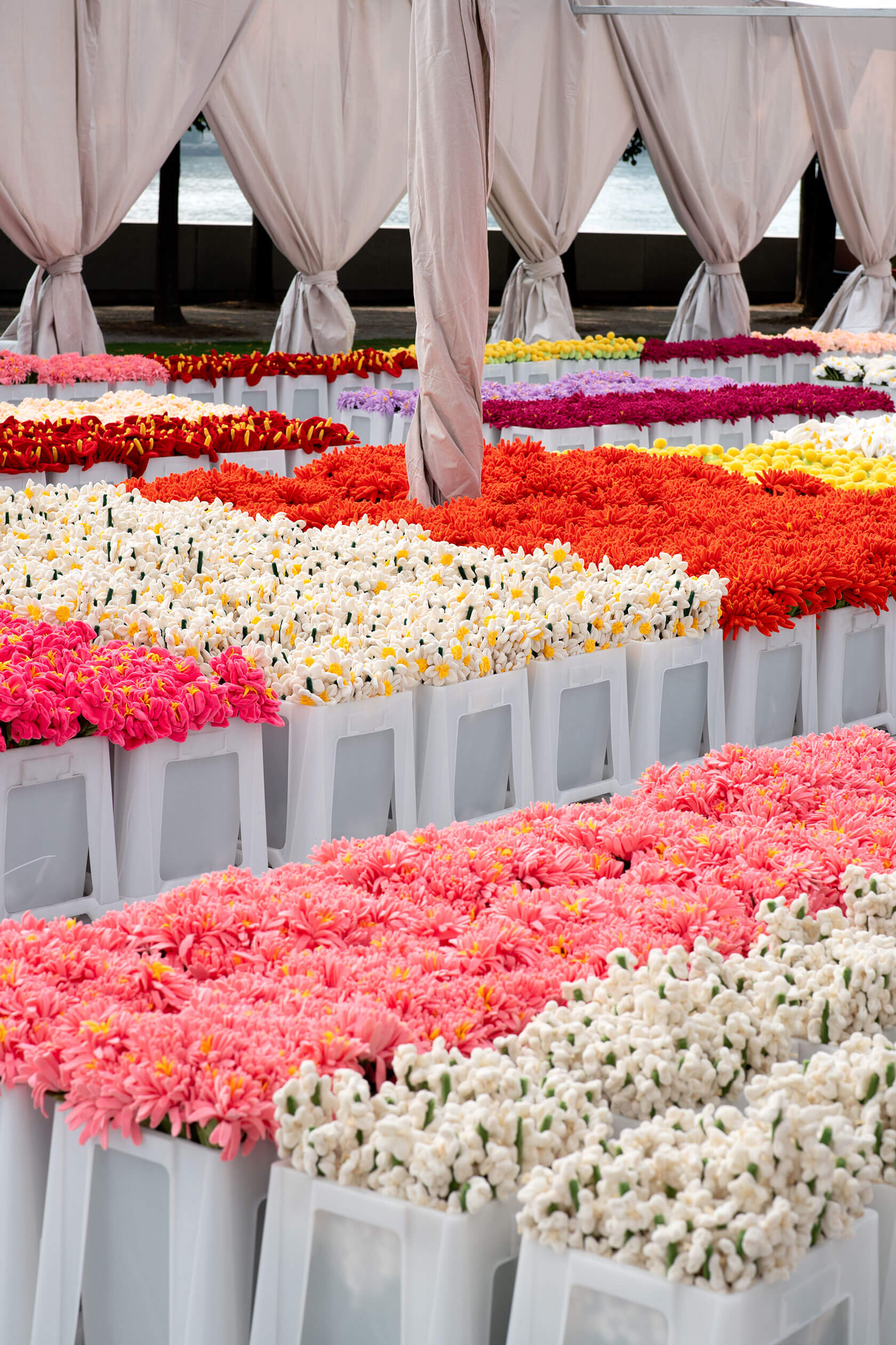 In Full Bloom: Cj Hendry's Immersive Flower Market Exhibition | Daily ...