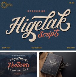 Retro Revival: The Best Fonts for your Vintage-Inspired Designs | Daily ...
