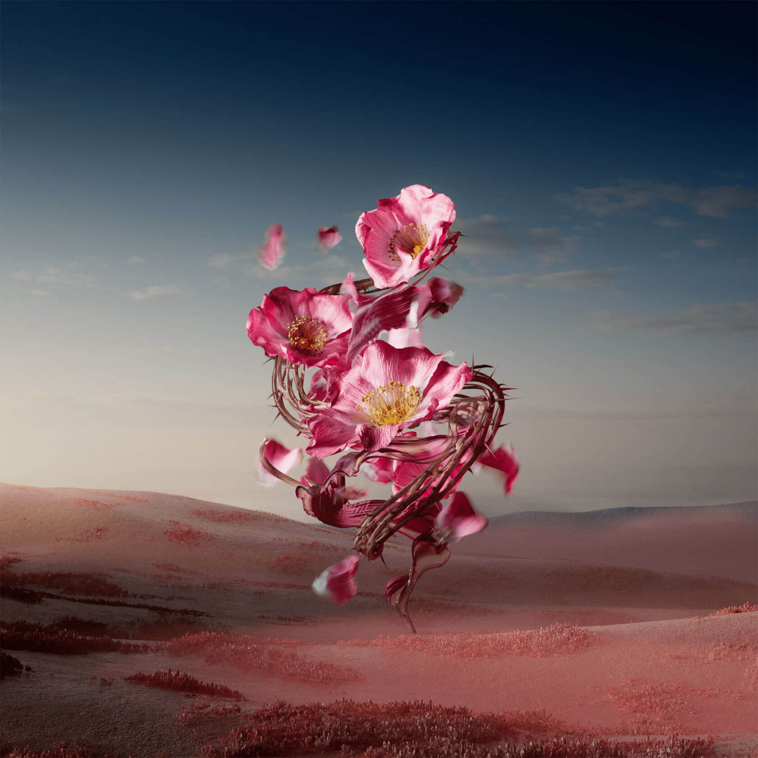 Striking Visual Experiments by Marcus Chaloner | Daily design ...