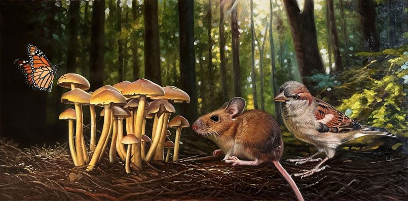 Expect the Unexpected: Hyper-Realistic Paintings by Marc Dennis | Daily ...