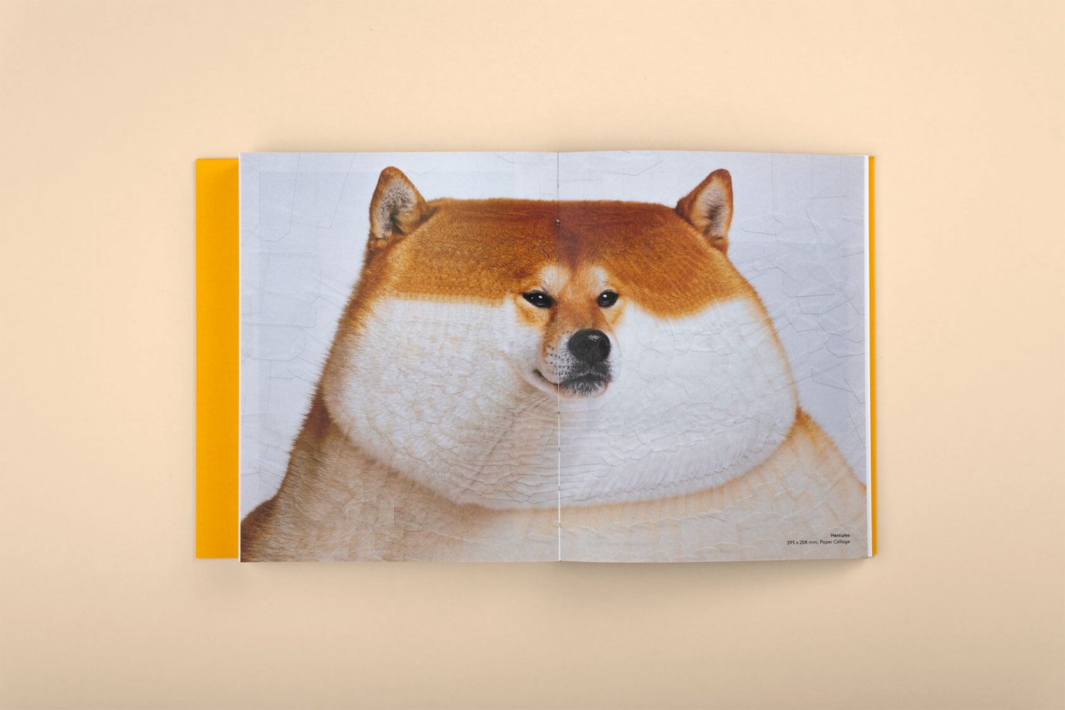 Good Dogs: A Celebration of Canine Companions | Daily design ...