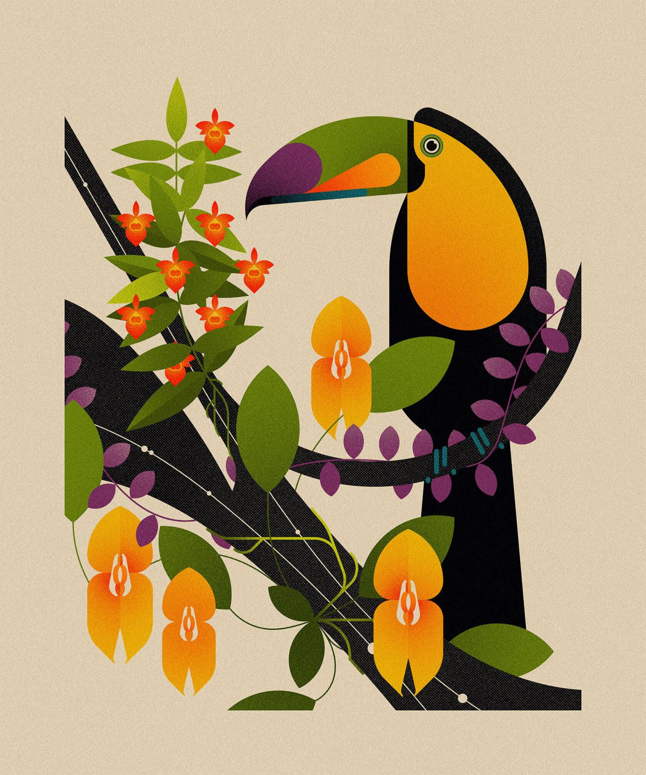 Inspired by Nature: Wild Illustrations by Emma Clinton | Daily design ...