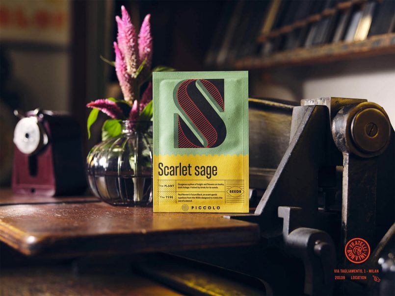 The Botanical Alphabet by The6th Creative Studio | Daily design ...