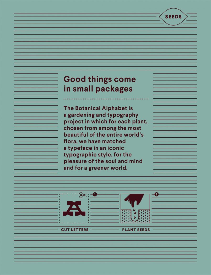 The Botanical Alphabet by The6th Creative Studio | Daily design ...