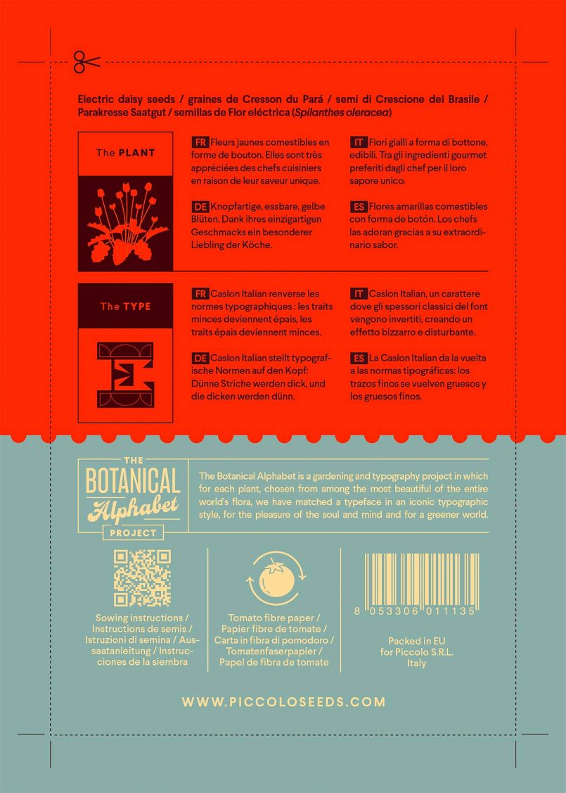 The Botanical Alphabet by The6th Creative Studio | Daily design ...