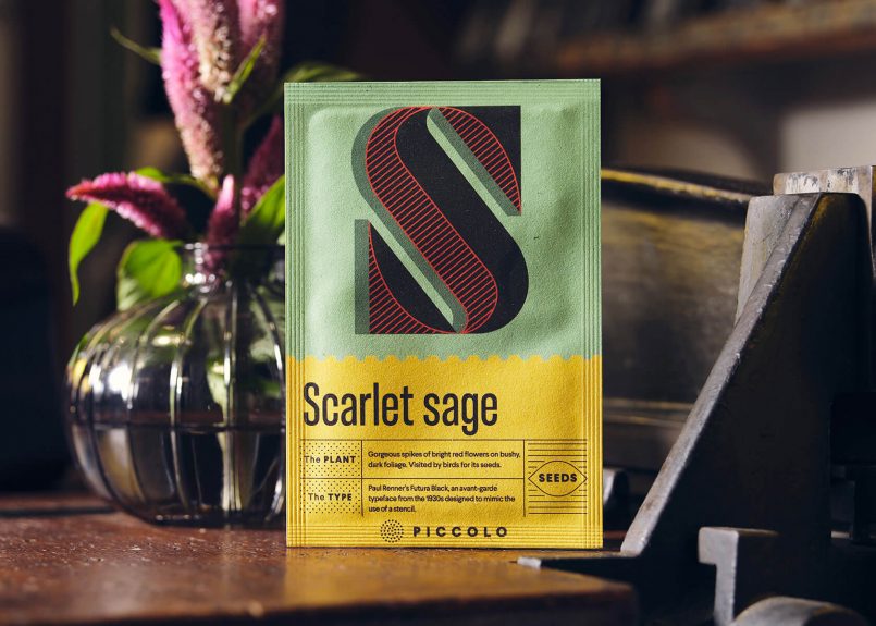 The Botanical Alphabet by The6th Creative Studio | Daily design ...