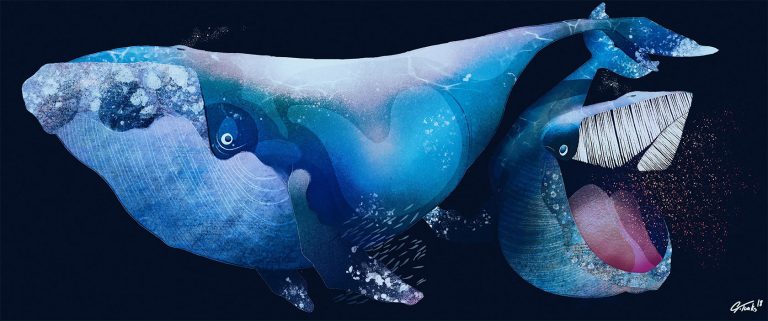 Whimsical Wildlife: Animal Illustrations by George Tonks | Daily design ...