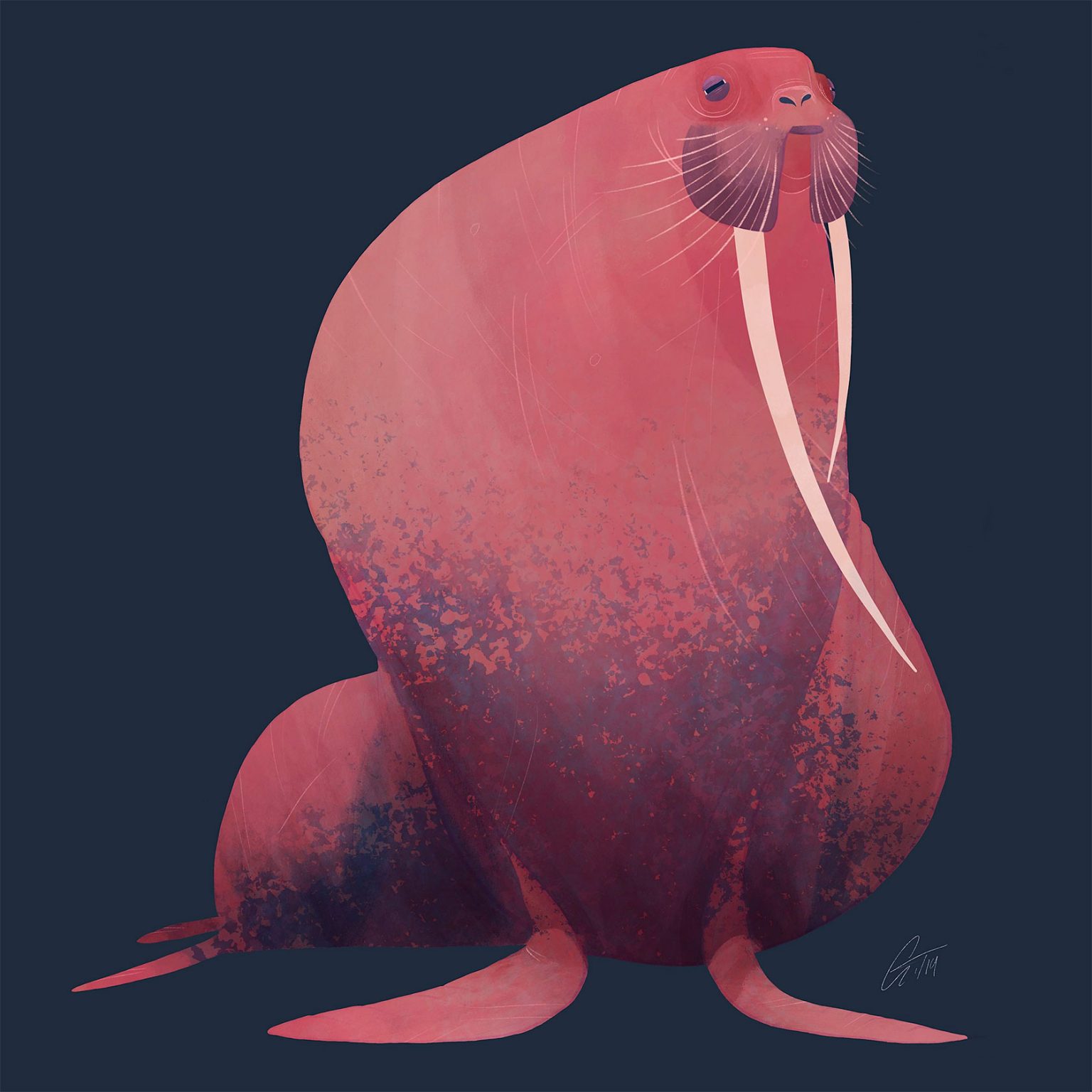 Whimsical Wildlife: Animal Illustrations by George Tonks | Daily design ...