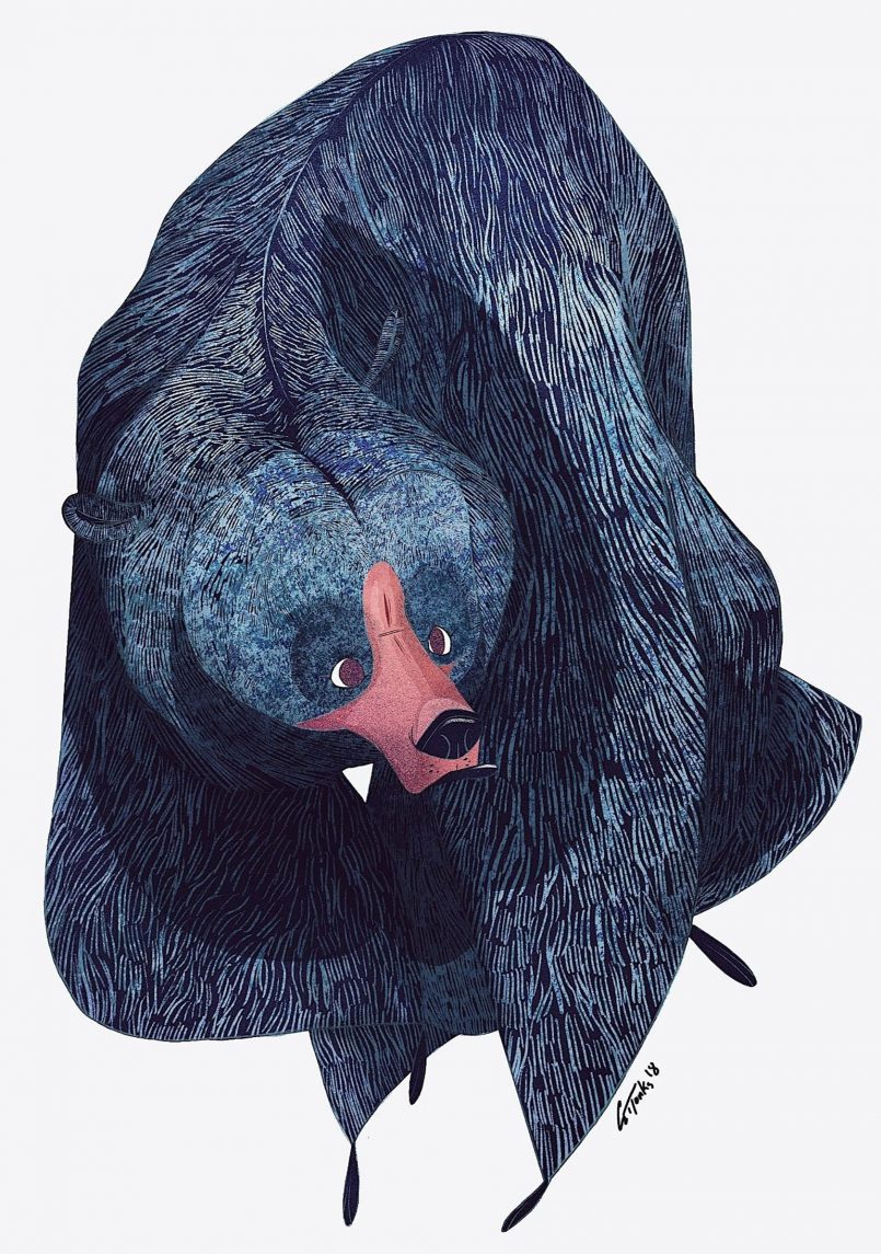 Whimsical Wildlife: Animal Illustrations by George Tonks | Daily design ...