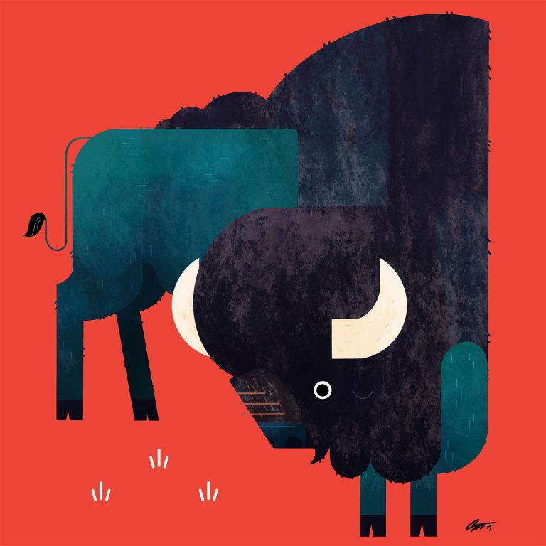 Whimsical Wildlife: Animal Illustrations by George Tonks | Daily design ...
