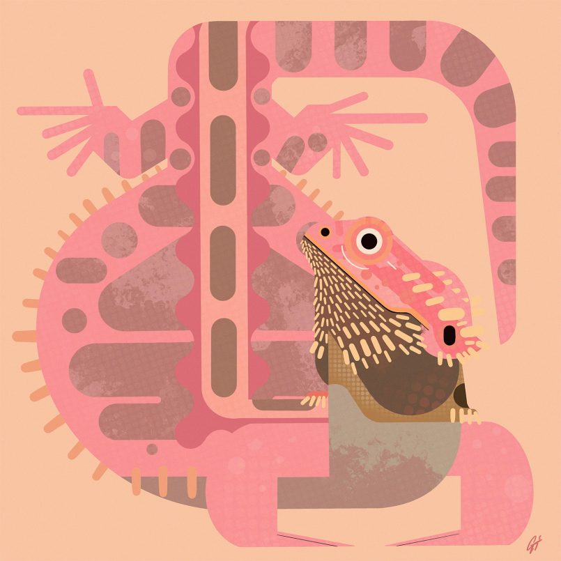 Whimsical Wildlife: Animal Illustrations by George Tonks | Daily design ...