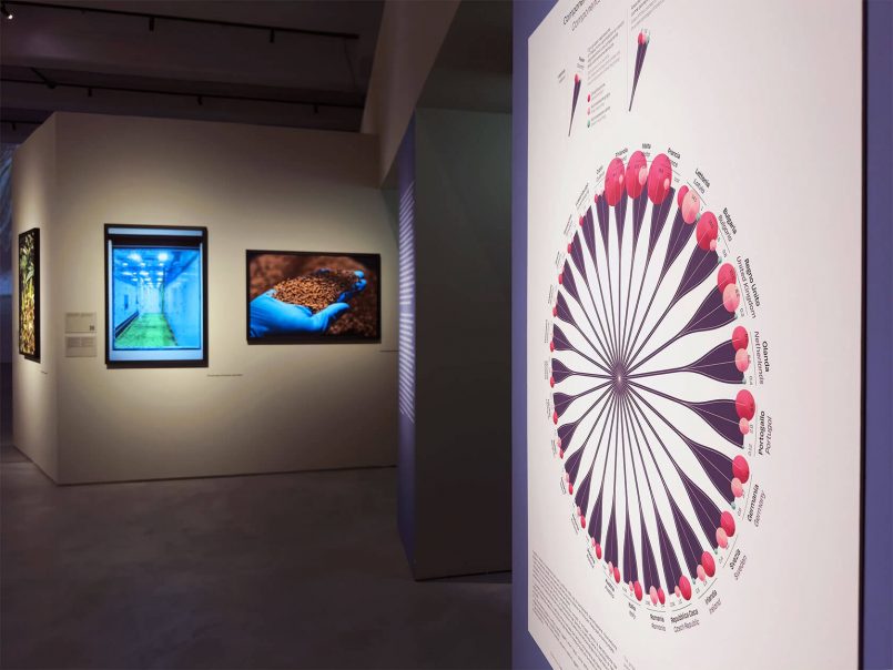 Elegant Structures: Federica Fragapane’s Award-Winning Infographics ...