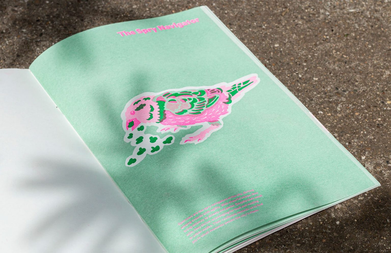 Urban Handbook: A Playful Guide to City Critters by Noémi Nyirfa ...