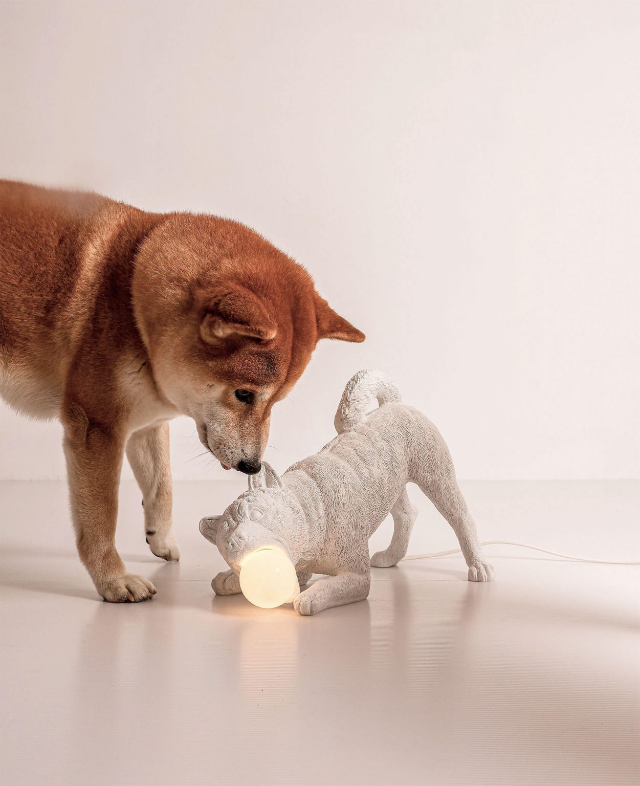 Lighting Companions: Animal-Inspired Lamps by Haoshi Design | Daily ...
