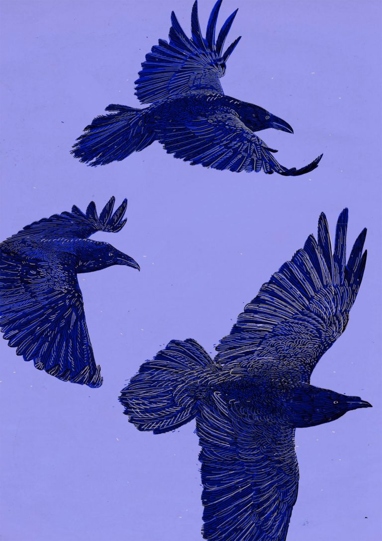 Striking Portraits & Bold Patterns by Anna Higgie | Daily design ...