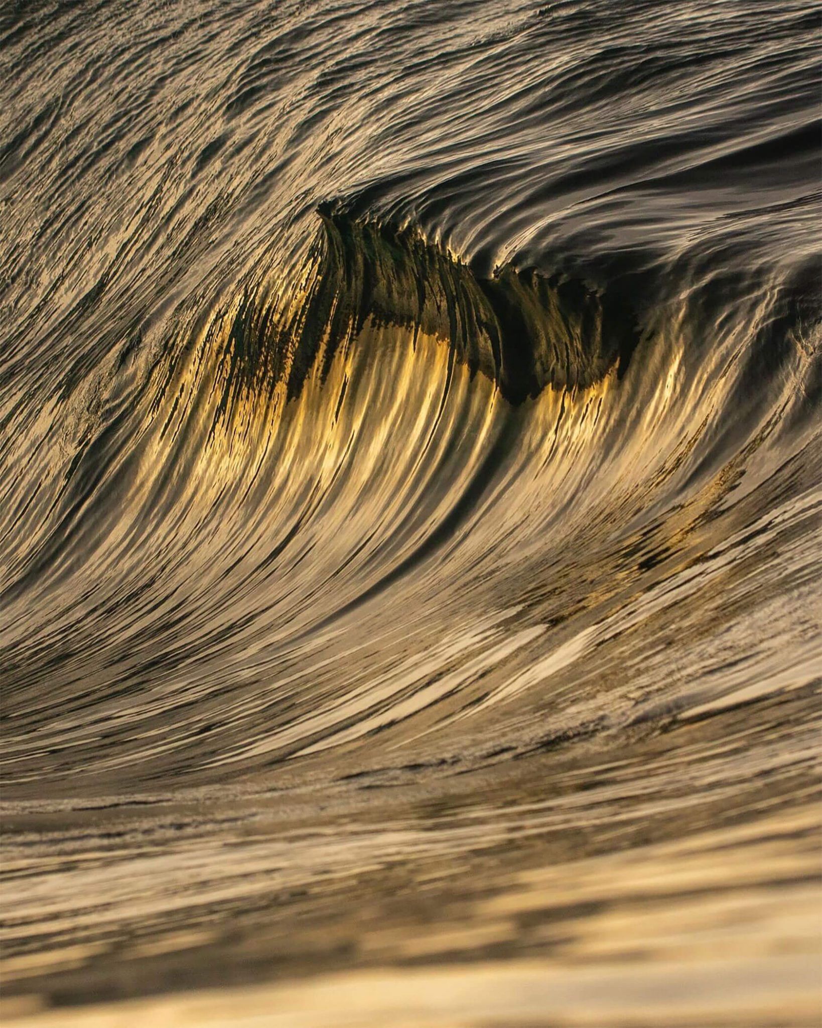 The Ocean’s Pulse: Stunning Photos by Fran Rodriguez | Daily design inspiration for creatives ...