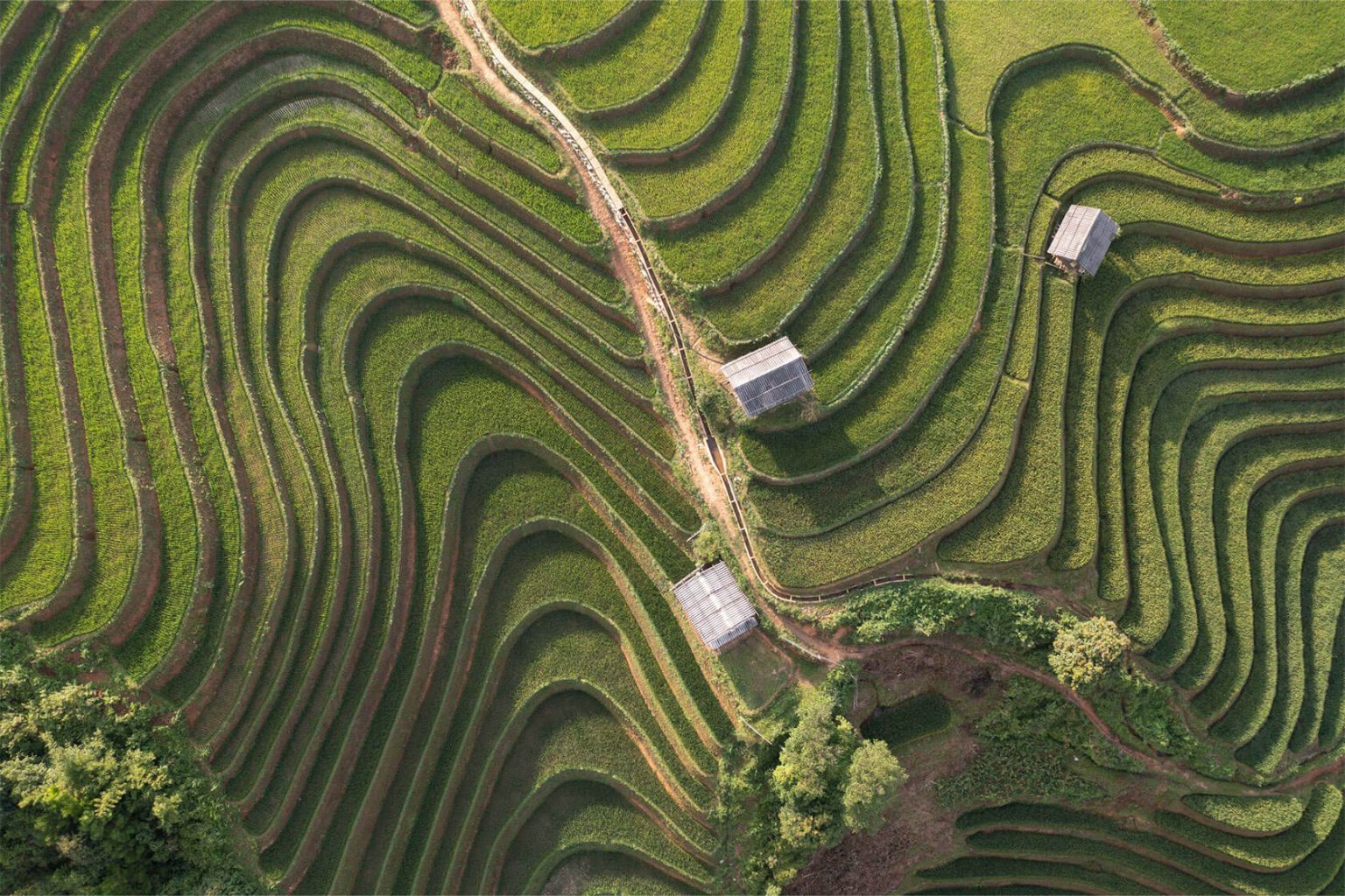 Captivating Photos of Vietnam by Julian Elliott | Daily design ...