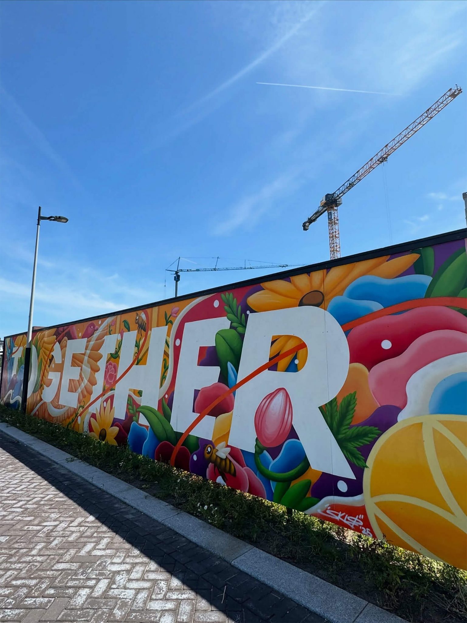 Birds, Blooms & Boldness: Street Art by Sam Lo | Daily design ...