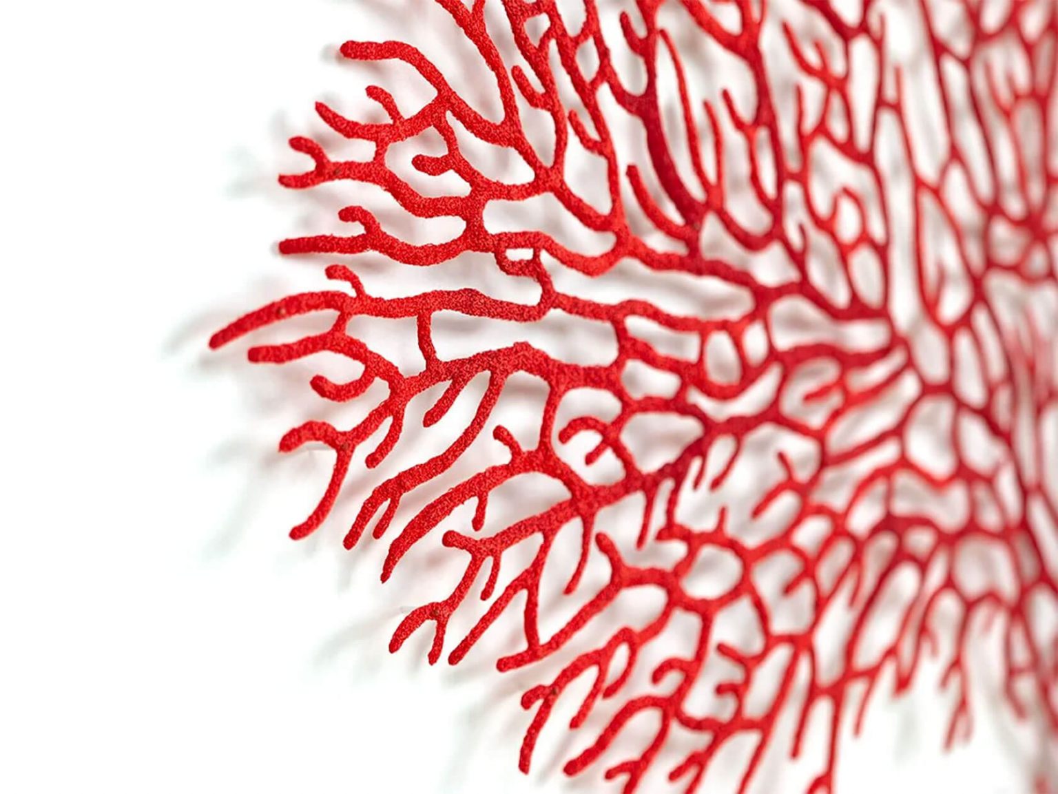 Threaded Forms: The Delicate Textile Art of Meredith Woolnough | Daily ...