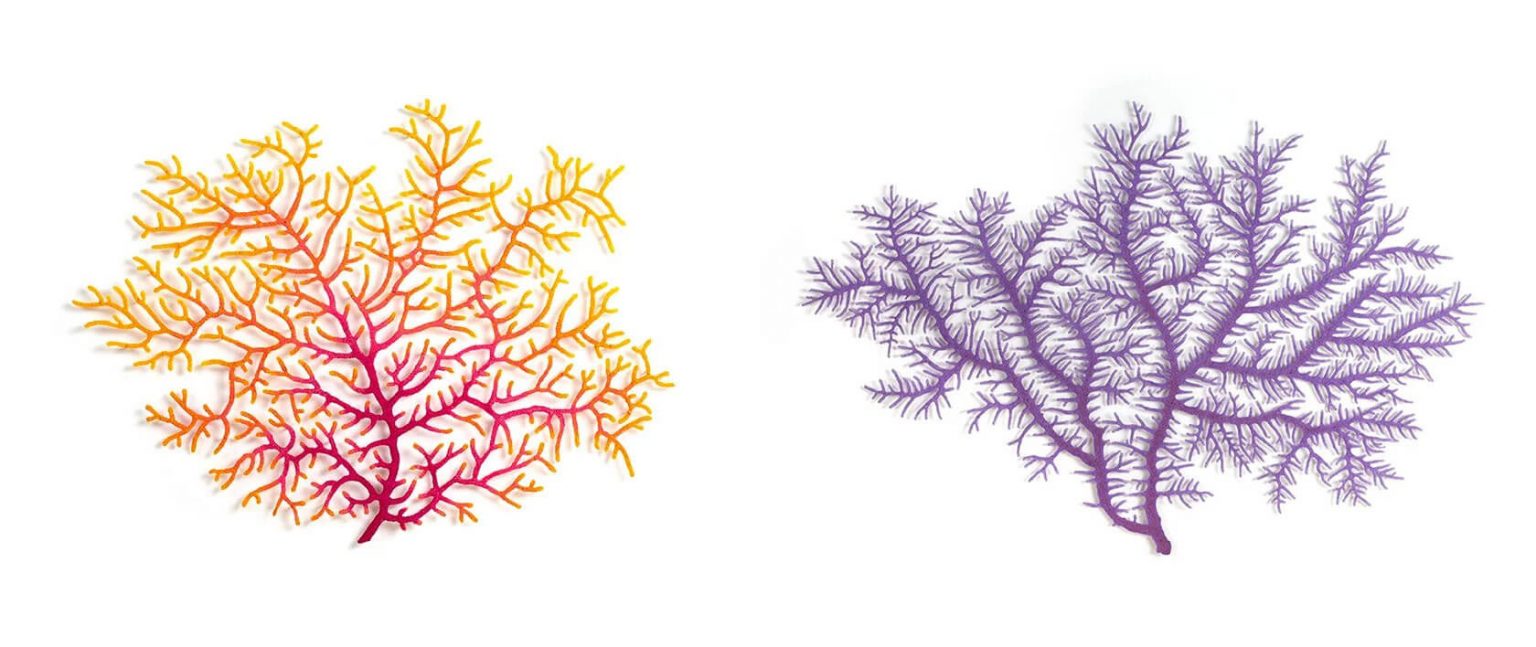 Threaded Forms: The Delicate Textile Art of Meredith Woolnough | Daily ...