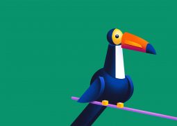 Playful Geometric Bird Illustrations by Bright Funk | Daily design ...